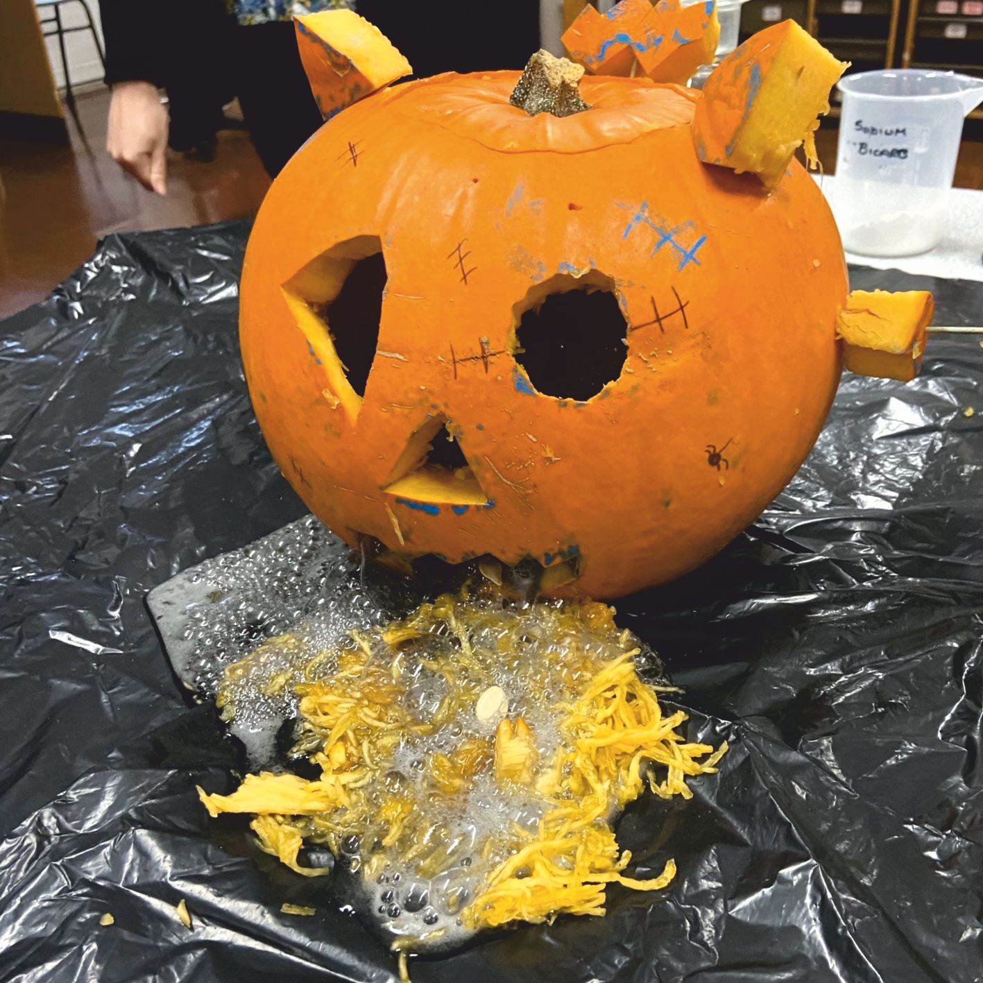 Science Club use extra ingredients with their pumpkins – Spalding Academy